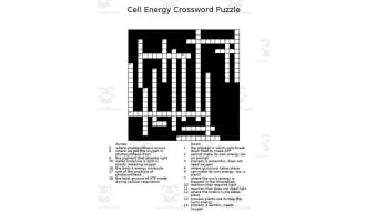 Cell Structure and Function Crossword Puzzle by Teach Simple