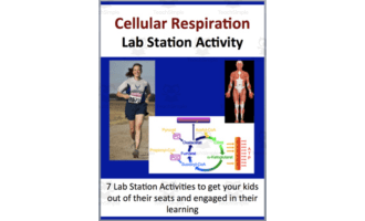 Cellular Respiration and Photosynthesis – Lab Station Activity by Teach ...