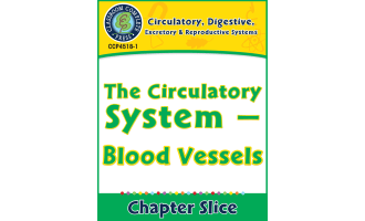 Circulatory,Digestive & Reproductive Systems: The Circulatory System ...