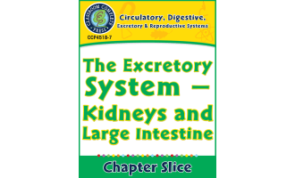 Circulatory,Digestive & Reproductive Systems: The Excretory System ...