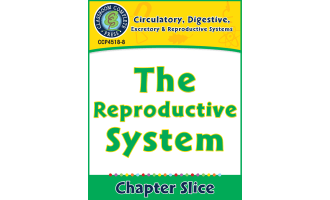Circulatory,Digestive & Reproductive Systems: The Excretory System ...