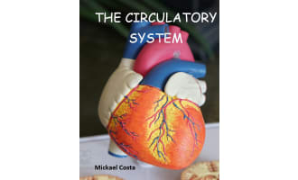 Circulatory,Digestive & Reproductive Systems: The Circulatory System ...