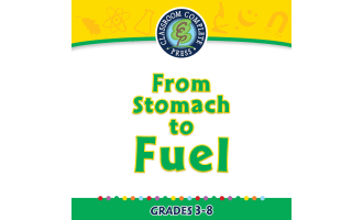 Circulatory,Digestive & Reproductive Systems: The Excretory System ...