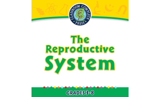 Circulatory,Digestive & Reproductive Systems: The Circulatory System ...