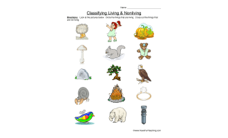 Classifying Living and Nonliving Things Worksheet by Teach Simple
