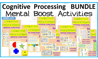 Cognitive Processing Mental Function Boost Activities 4a by Teach Simple