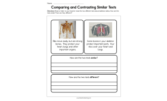 Compare Contrast Similar Texts Worksheet by Teach Simple