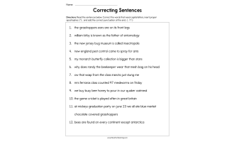 Correcting Punctuation Worksheet by Teach Simple
