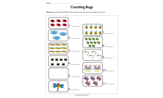 Graphing Bugs Worksheet by Teach Simple