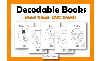 CVC Words Fully Decodable Reading Comprehension Passages and Exercises ...