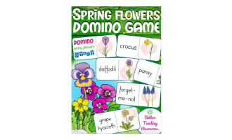 Flash Cards: Spring Flowers by Teach Simple