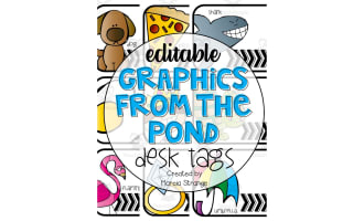 Editable Student Desk Name Tags by Teach Simple