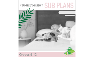 Poetry Analysis Sub Plans Lessons (Print & Pass) by Teach Simple