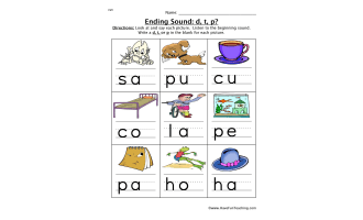 Ending Digraphs Sentences Worksheet by Teach Simple