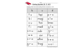 Ending Digraphs Sentences Worksheet by Teach Simple