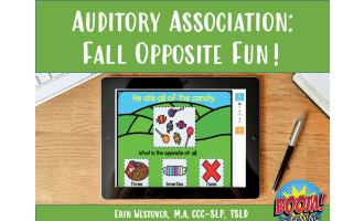 Auditory Discrimination: Rhyming - BOOM Cards by Teach Simple