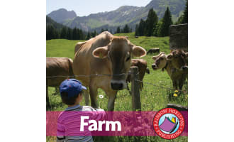 Rebus Chants A to Z Gr. K-1 by Teach Simple