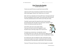 My First Airplane Trip Reading Comprehension Worksheet by Teach Simple