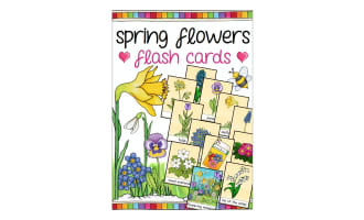 Flash Cards: Spring by Teach Simple