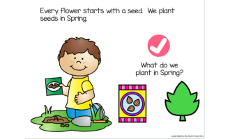 Penguin Life Cycle Adapted Book / Google Slides by Teach Simple