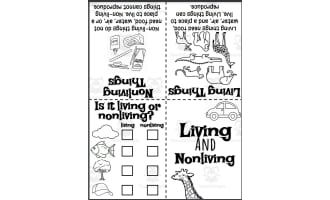 Spanish Living and Non-living by Teach Simple