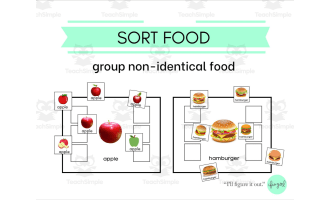 Sorting non- identical objects - Large Pictures by Teach Simple