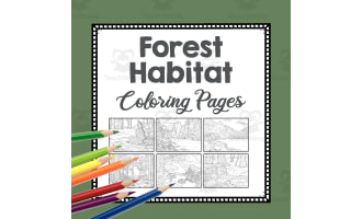 Rainforest Habitat Coloring Pages | Line Art Templates | Biome Art ...