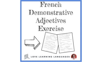 French Descriptive Adjectives Booklet & Exercise Worksheet by Teach Simple