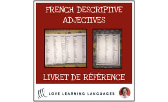 French Descriptive Adjectives Booklet & Exercise Worksheet by Teach Simple