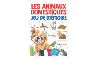 French: Fairy Tales Memory Game by Teach Simple