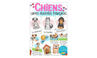 French Flash Cards: 100 Verbes / Verbs by Teach Simple