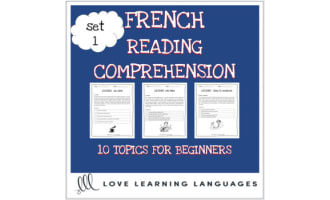 French reading comprehension texts and questions for beginners - SET 2 ...