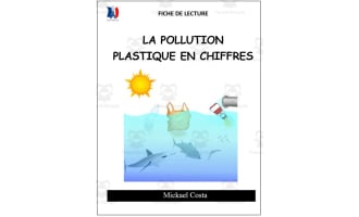 French: Reading comprehension worksheets: Composition et utilisation du ...
