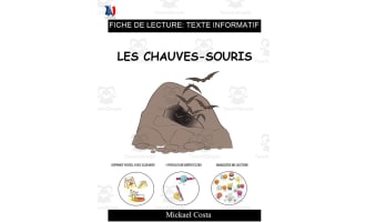 French: Reading comprehension worksheets: Les contributions des ...