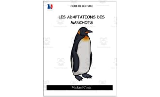 French: reading comprehension worksheets: Les adaptations des chauves ...