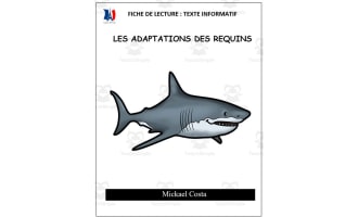 French: Reading comprehension worksheets: Les microplastiques by Teach ...