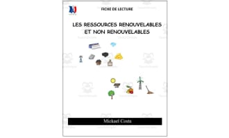 French: Les ressources naturelles by Teach Simple
