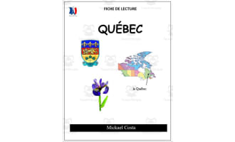 French: Reading comprehension worksheets: Le carnaval de Québec by ...