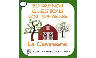 French: Speaking Card Game - Airport & Train Station Vocabulary by ...