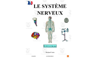 French: Asking + Giving Directions Workbook by Teach Simple
