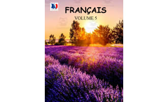 French Workbook Volume 9 by Teach Simple