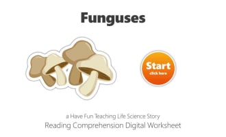 Grilled Cheese - Reading Comprehension Worksheet by Teach Simple