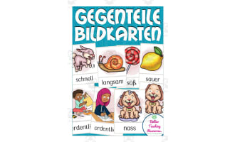 German Flash Cards: Clothing & Accessories by Teach Simple