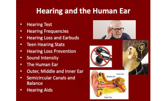 Hearing and the Human Ear – Lab Station Activity by Teach Simple