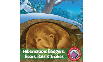 Animal Life Cycles Gr. 2-3 by Teach Simple