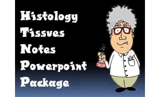 Histology Tissues Flashcards by Teach Simple