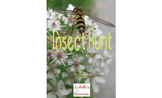 Insect Observation Worksheet by Teach Simple
