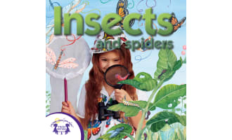 BEST Insects & Spiders Songs Album by Teach Simple