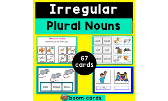 Irregular Plural Nouns Worksheet by Teach Simple