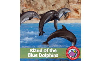 Island of the Blue Dolphins - Literature Kit Gr. 5-6 by Teach Simple